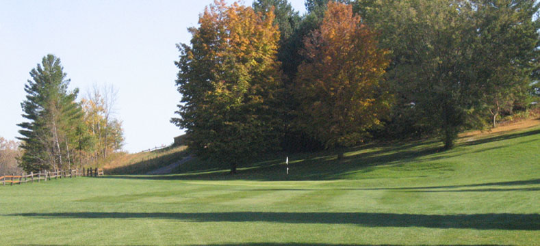 Ferndale Golf Course - Golf